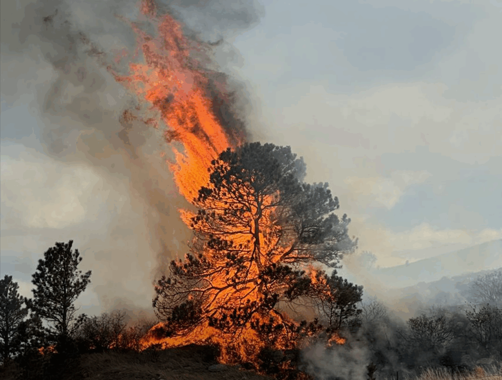 Ponds Fire Contained Near Fort Collins